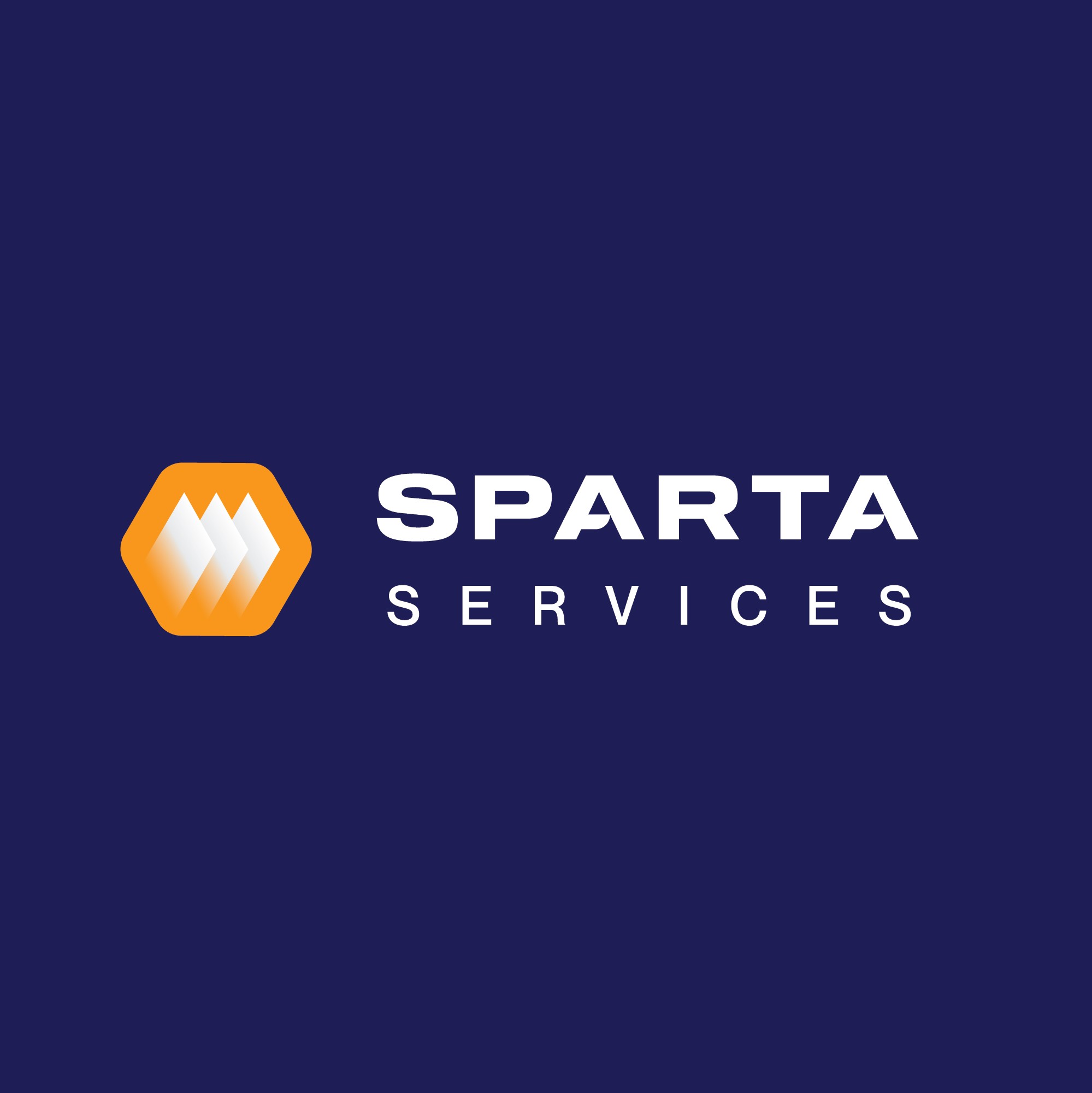 Staff Augmentation Services from Sparta Services